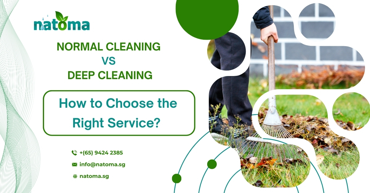 Normal Cleaning vs Deep Cleaning: Choose the Right Service
